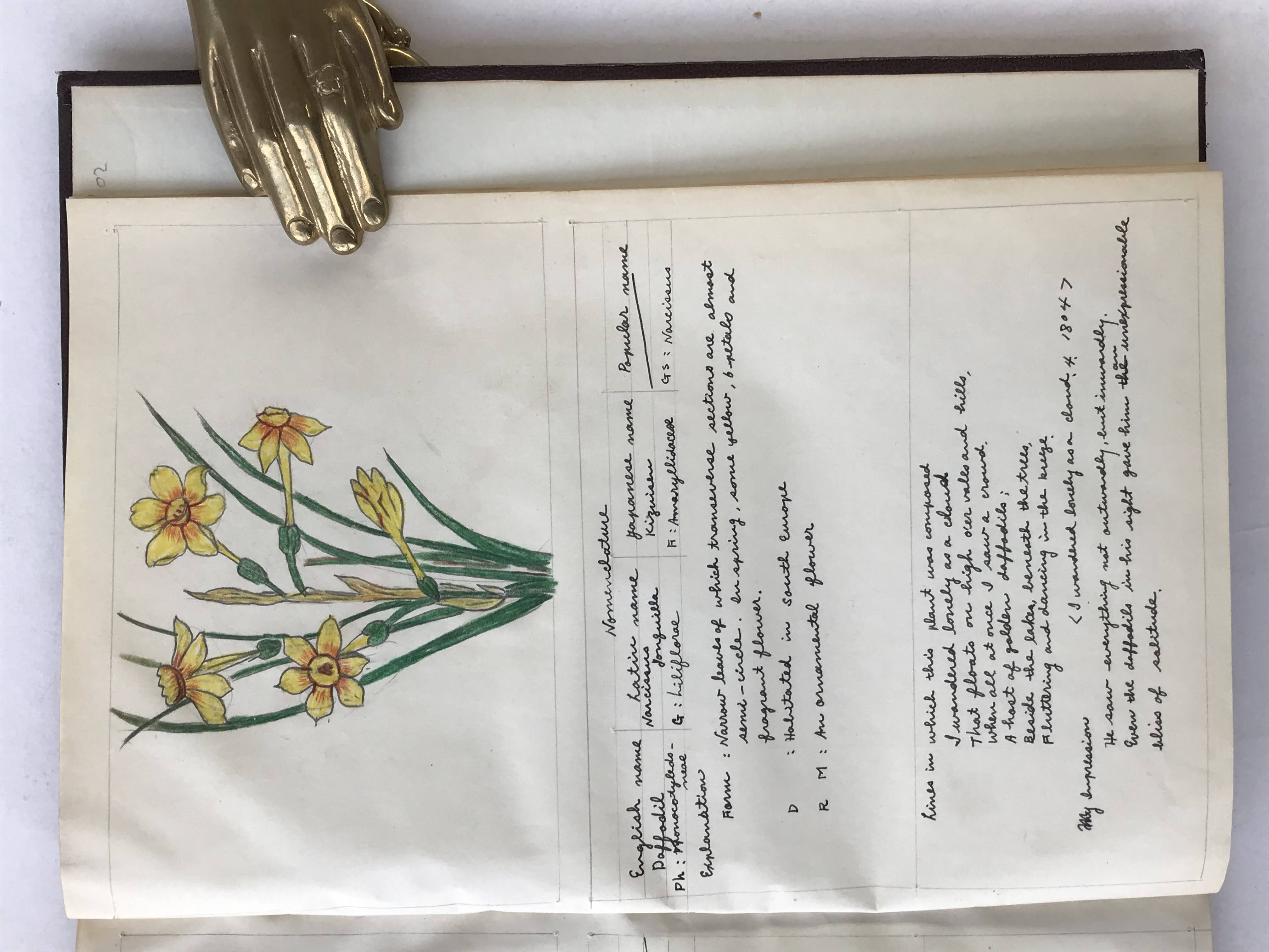 Wordsworth and Plants [typescript & manuscript] | Christian White Rare ...